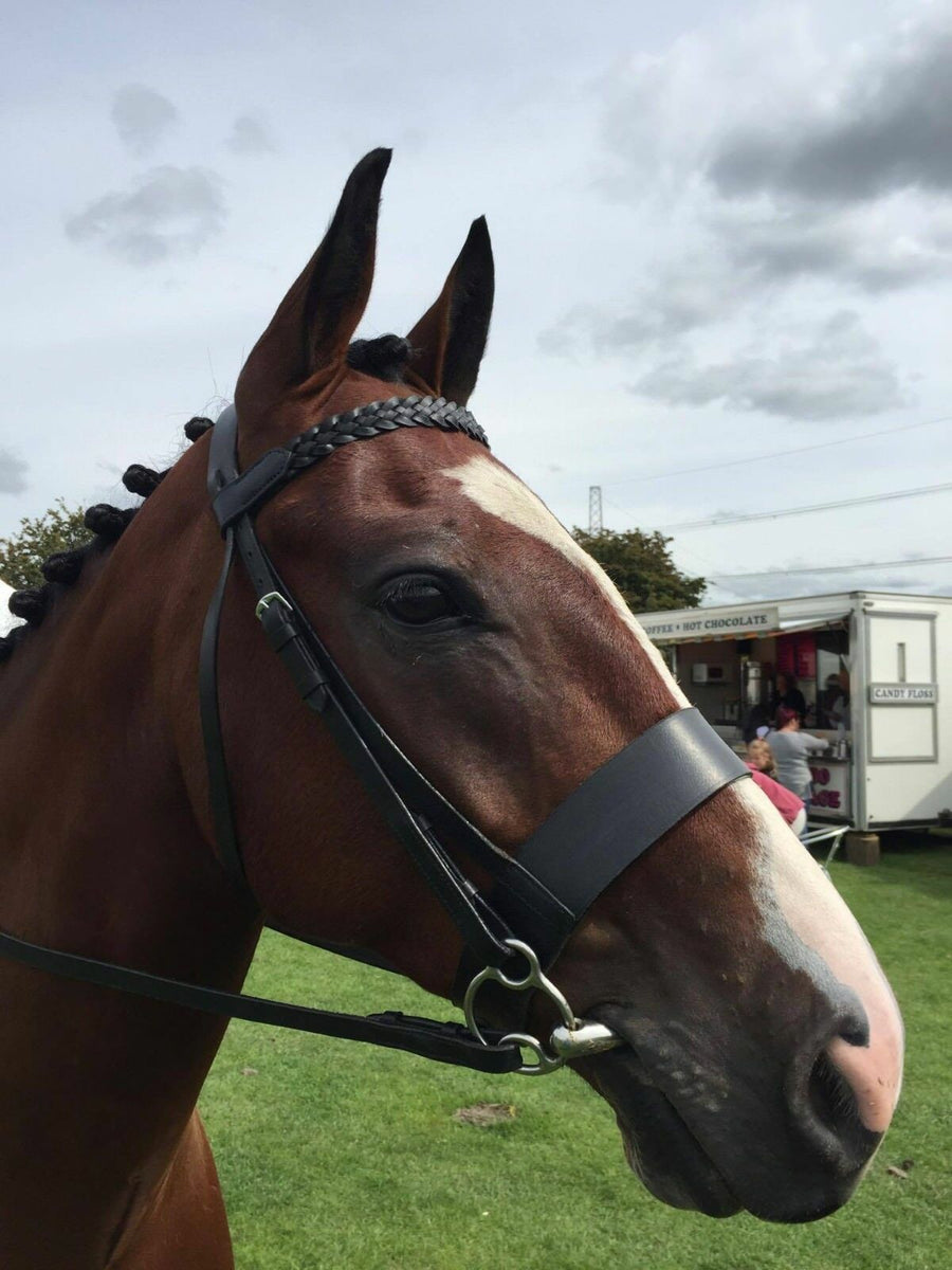 Plaited Black Leather - Working Hunter Bridle - 2 Inch Nose band / Pla ...