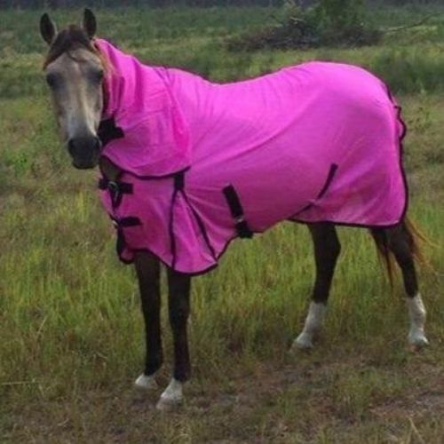 Pink Fly Mesh Insect Protector Rug Combo – Payless Saddlery