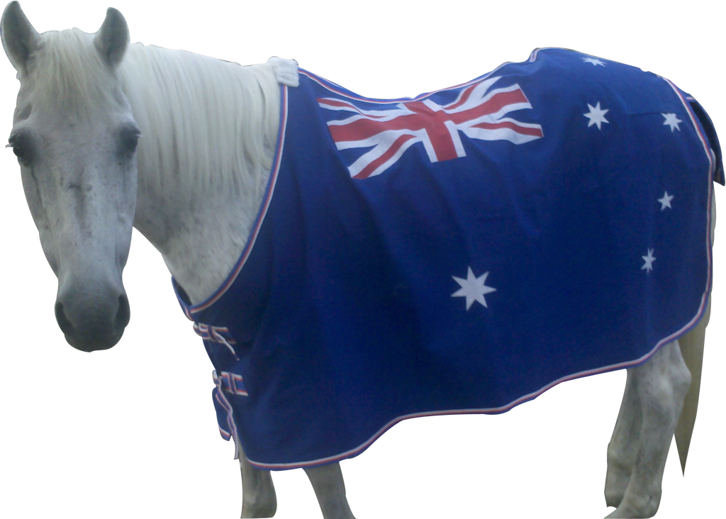 Australian Flag Cotton Canvas Rug – Payless Saddlery