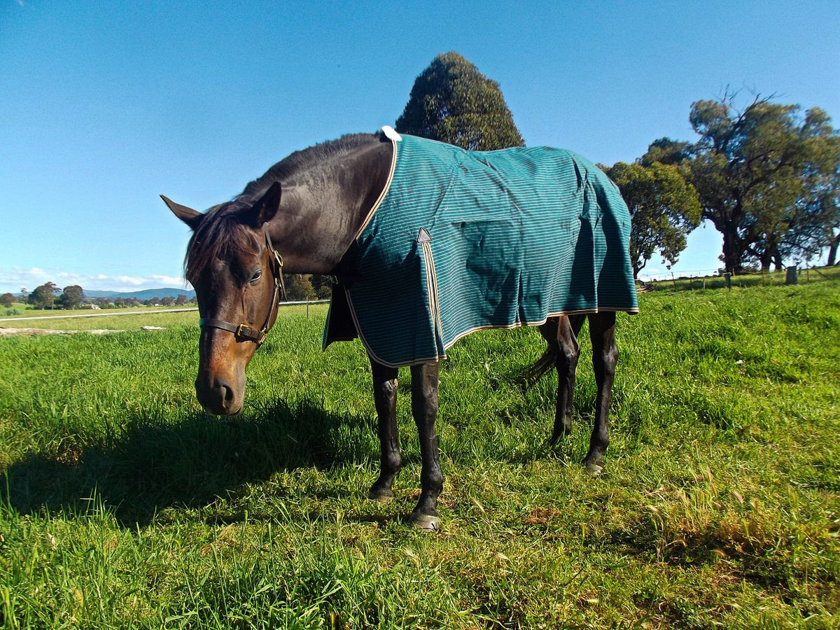 Unlined Green Canvas Rug – Payless Saddlery